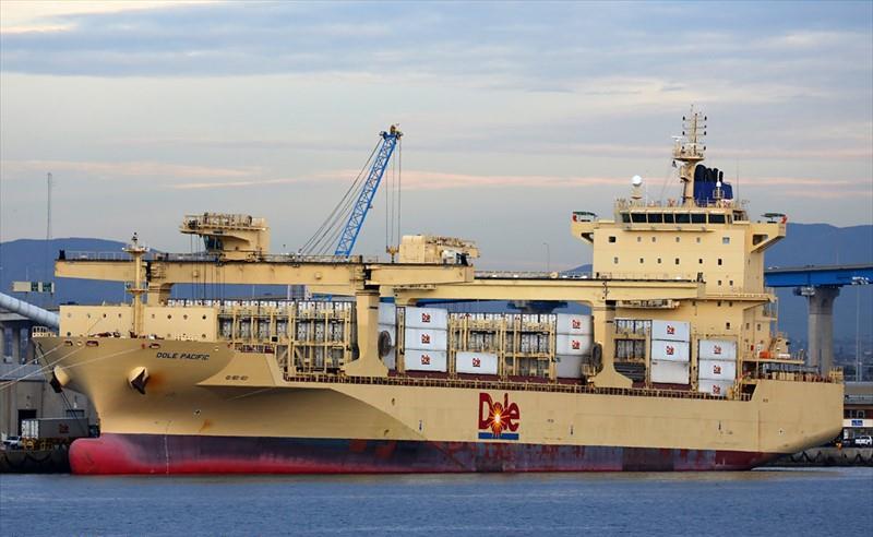 DOLE PACIFIC - Vesseljoin