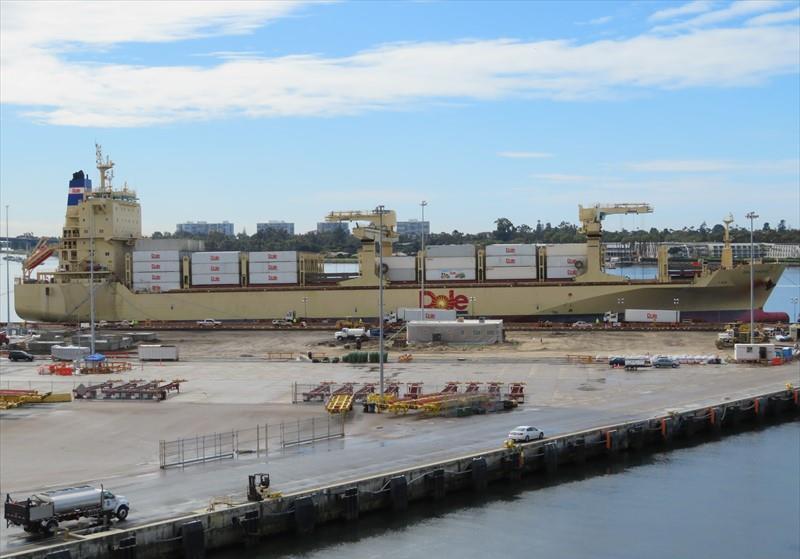 DOLE PACIFIC - Vesseljoin