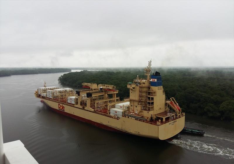 DOLE CARIBBEAN - Vesseljoin