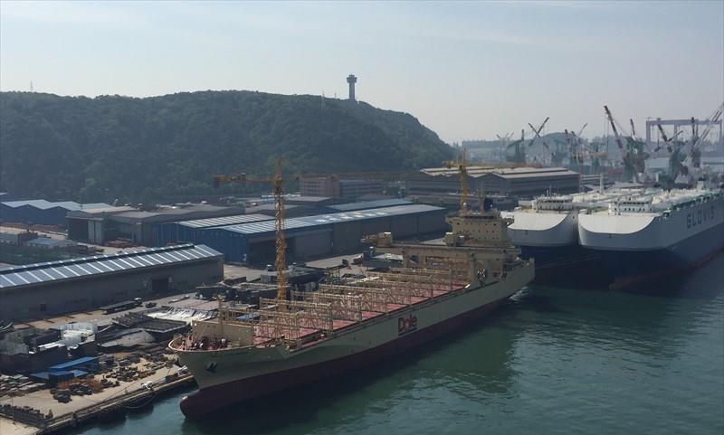 DOLE CARIBBEAN - Vesseljoin