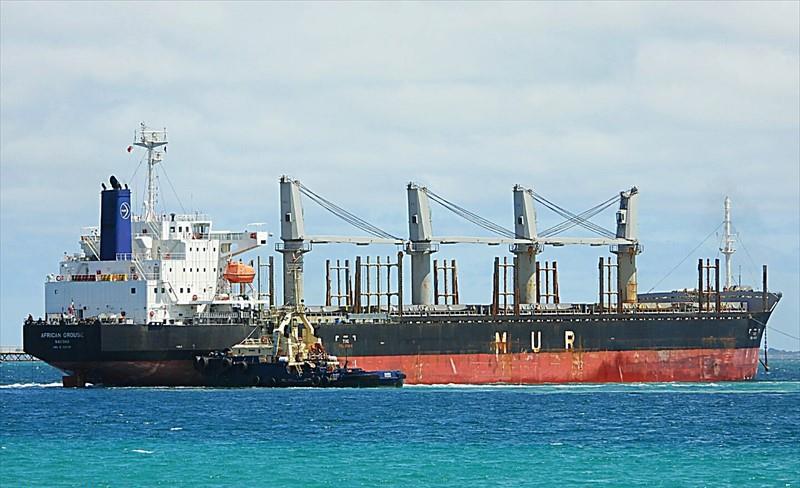 AFRICAN GROUSE - Vesseljoin
