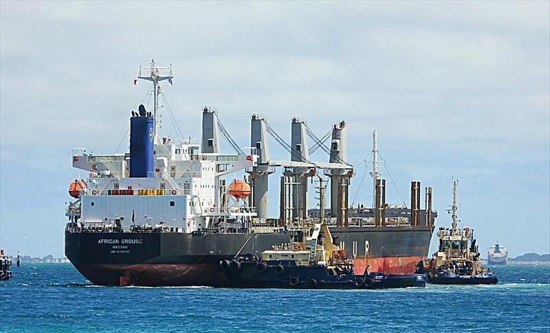 AFRICAN GROUSE - Vesseljoin