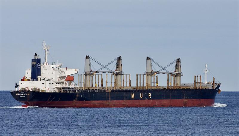 AFRICAN MERLIN - Vesseljoin