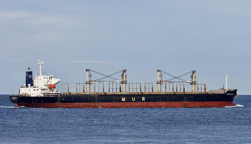 AFRICAN MERLIN - Vesseljoin