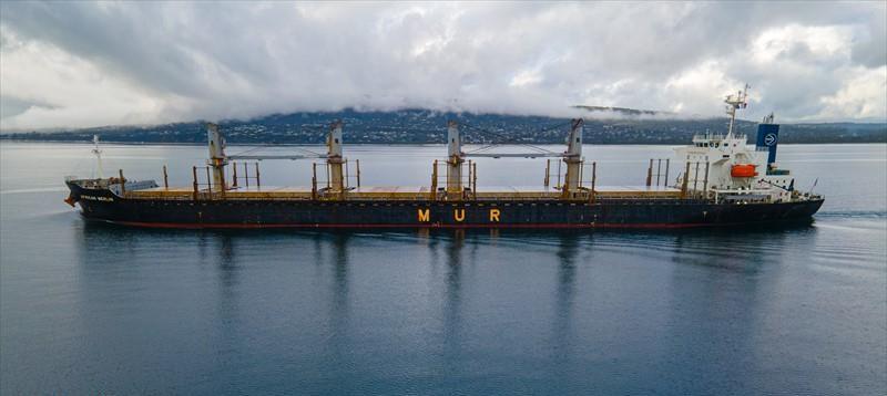 AFRICAN MERLIN - Vesseljoin