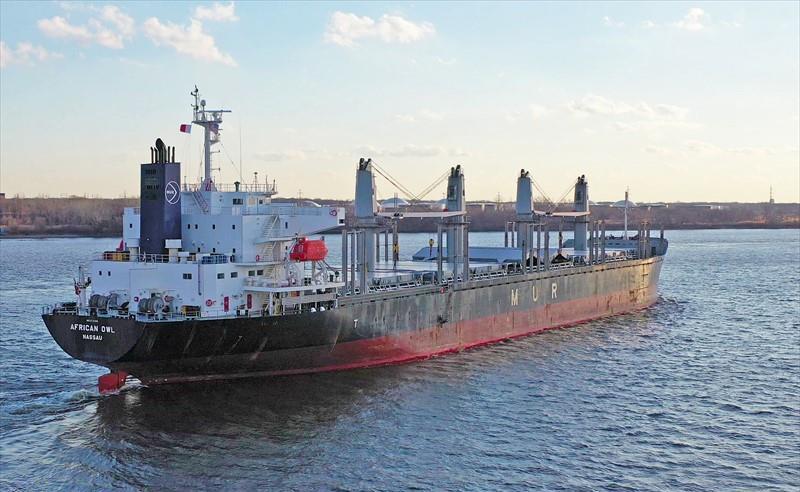 AFRICAN OWL - Vesseljoin