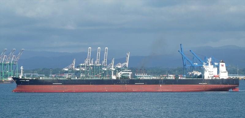 MONTREAL SPIRIT - Vesseljoin