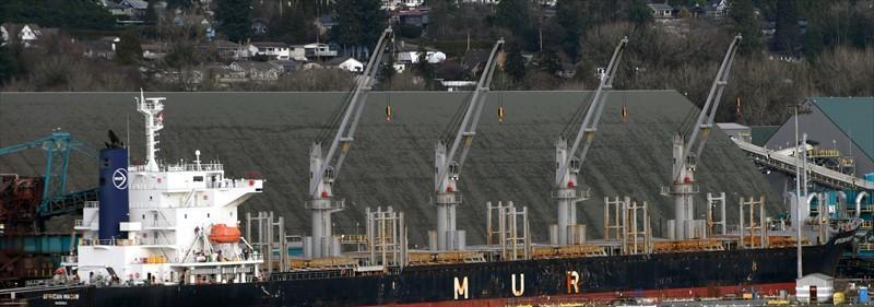 AFRICAN MACAW - Vesseljoin