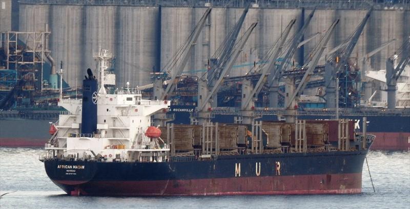 AFRICAN MACAW - Vesseljoin