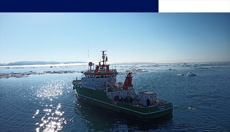 MIRANDA - Vesseljoin