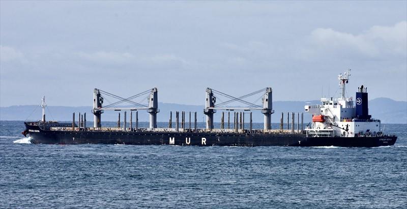 AFRICAN HERON - Vesseljoin