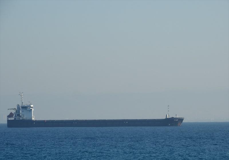 KAREWOOD BRAVE - Vesseljoin