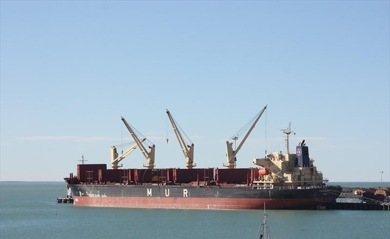 AFRICAN KESTREL - Vesseljoin