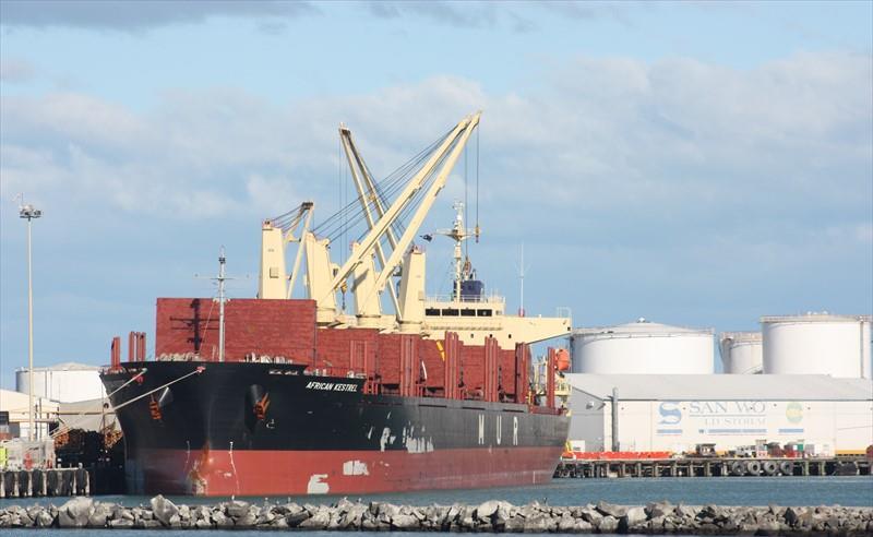 AFRICAN KESTREL - Vesseljoin