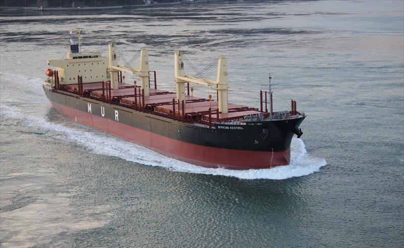 AFRICAN KESTREL - Vesseljoin