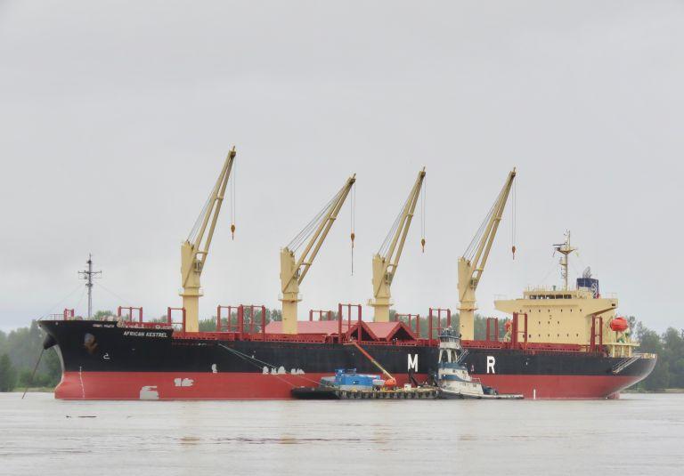 AFRICAN KESTREL - Vesseljoin