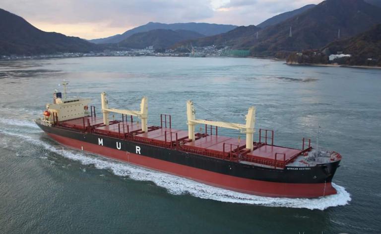AFRICAN KESTREL - Vesseljoin