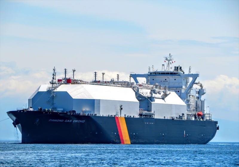 DIAMOND GAS ORCHID - Vesseljoin