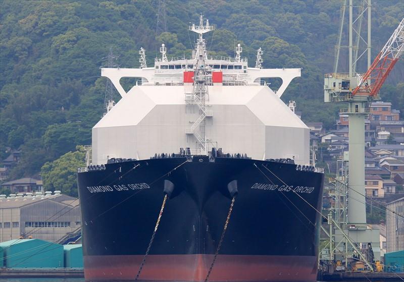 DIAMOND GAS ORCHID - Vesseljoin