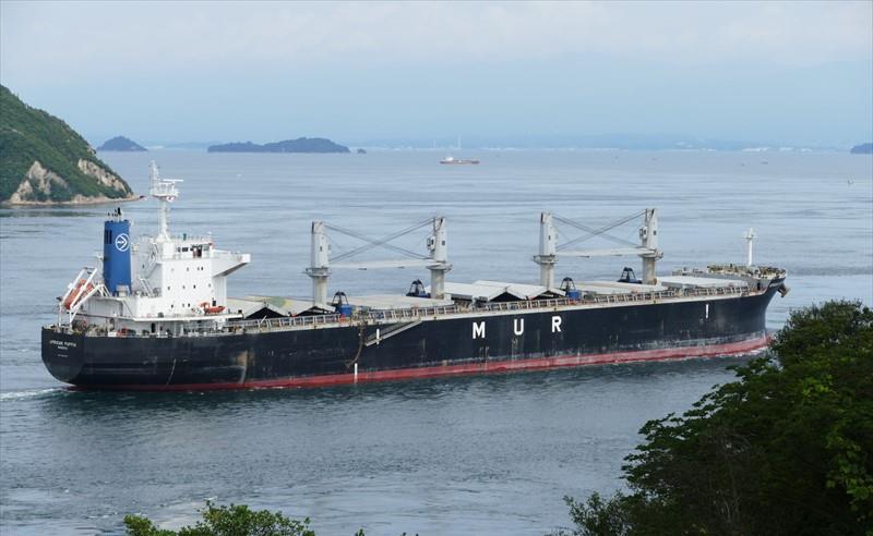 AFRICAN PUFFIN - Vesseljoin