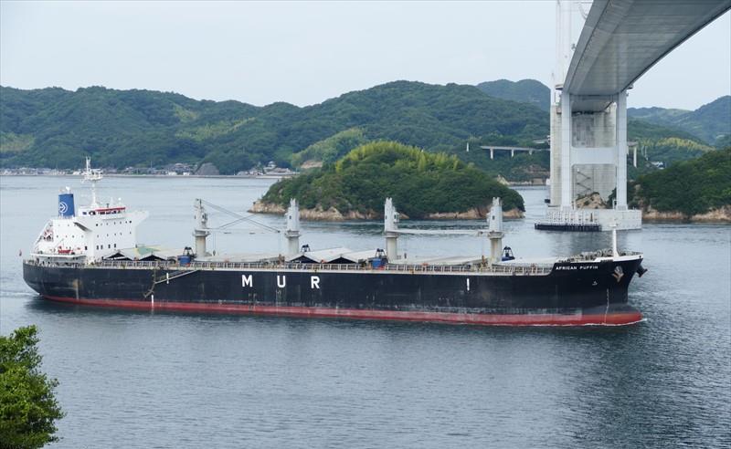 AFRICAN PUFFIN - Vesseljoin