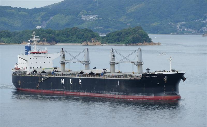 AFRICAN PUFFIN - Vesseljoin