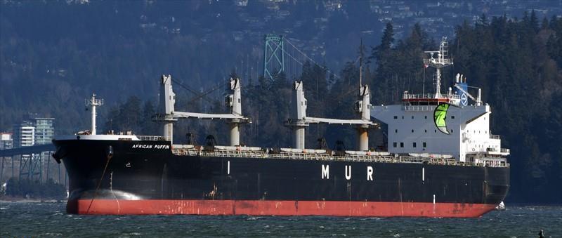 AFRICAN PUFFIN - Vesseljoin