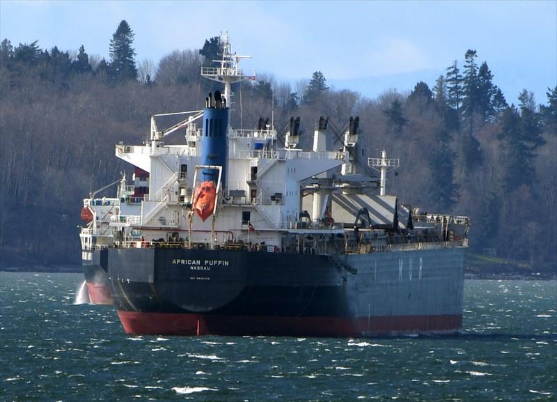 AFRICAN PUFFIN - Vesseljoin