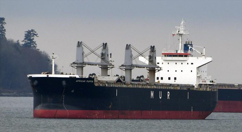 AFRICAN PUFFIN - Vesseljoin