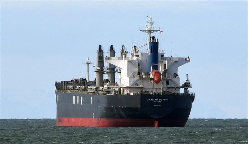 AFRICAN PUFFIN - Vesseljoin