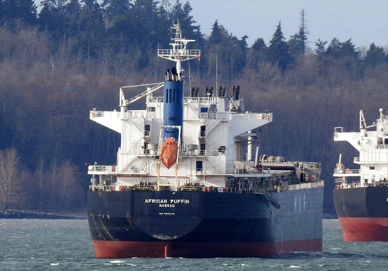 AFRICAN PUFFIN - Vesseljoin