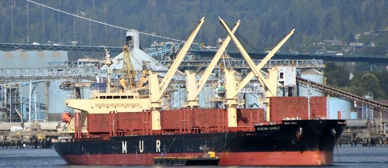 AFRICAN GANNET - Vesseljoin