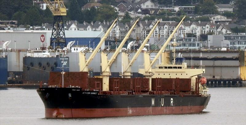 AFRICAN GANNET - Vesseljoin