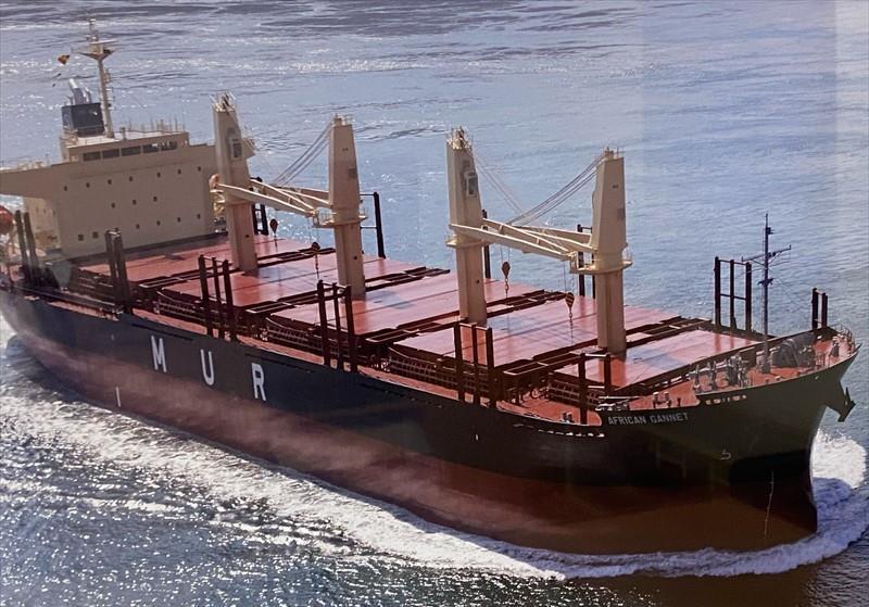 AFRICAN GANNET - Vesseljoin