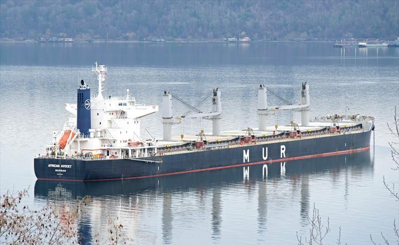 AFRICAN AVOCET - Vesseljoin