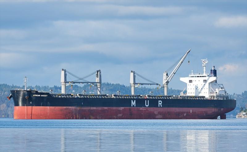 AFRICAN AVOCET - Vesseljoin