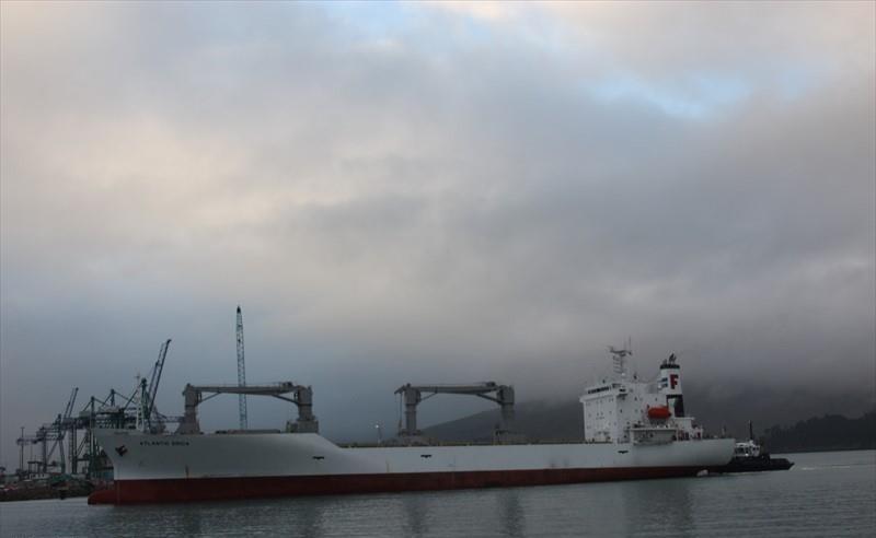 ATLANTIC ERICA - Vesseljoin