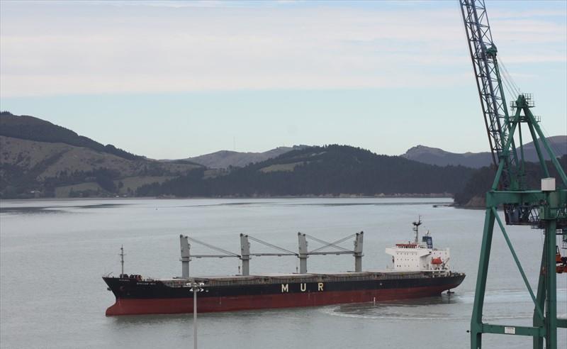 AFRICAN IBIS - Vesseljoin