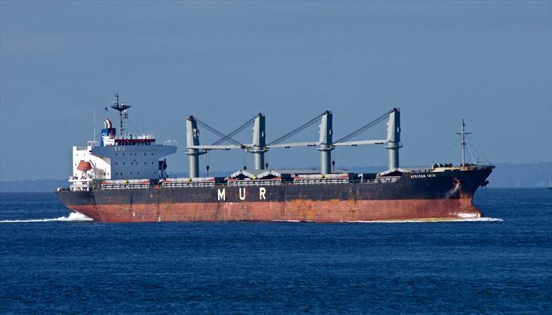 AFRICAN IBIS - Vesseljoin