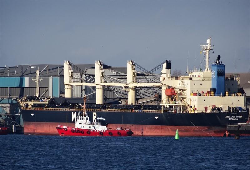AFRICAN ROBIN - Vesseljoin