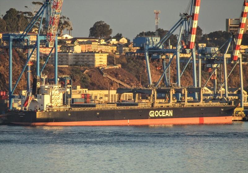 CORELLA ARROW - Vesseljoin