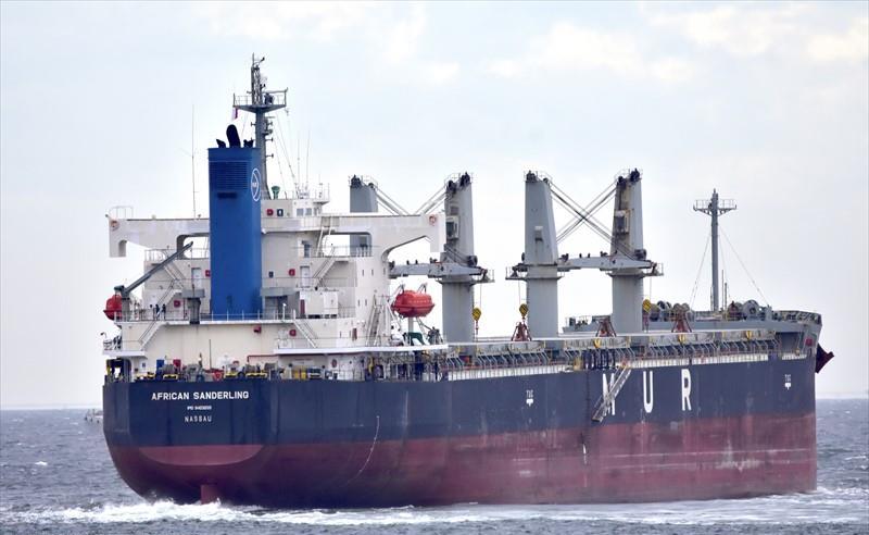 AFRICAN SANDERLING - Vesseljoin
