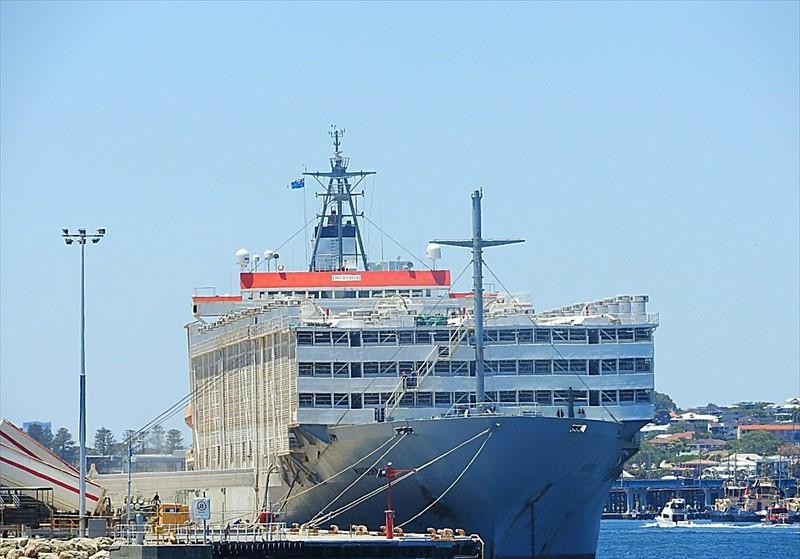 MAYSORA - Vesseljoin