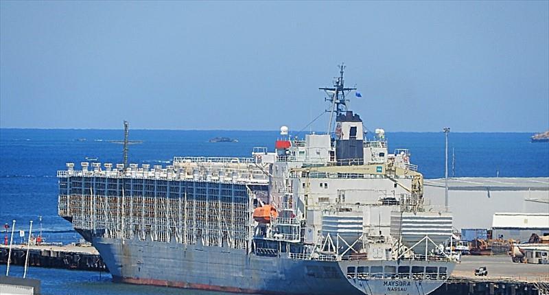 MAYSORA - Vesseljoin