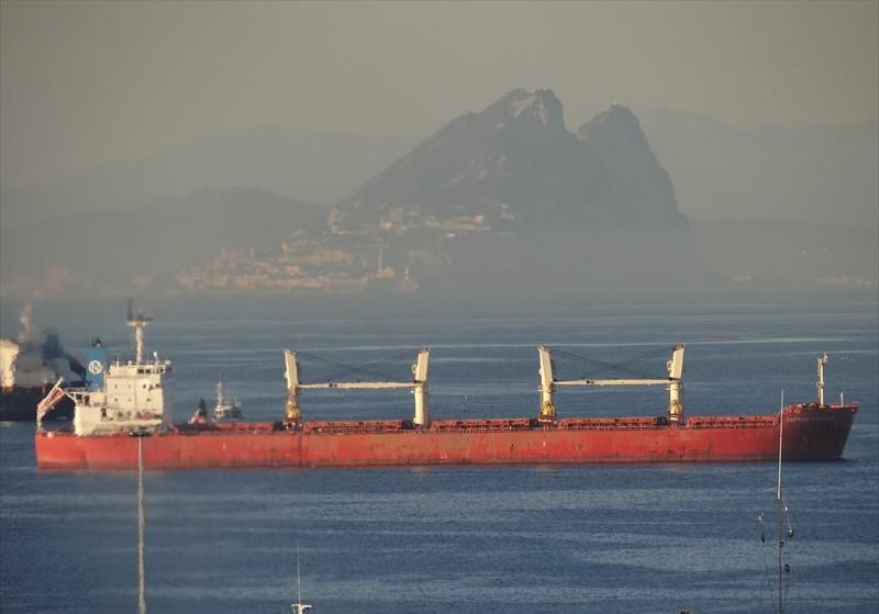 SERENE JUNIPER - Vesseljoin