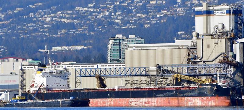 INES CORRADO - Vesseljoin