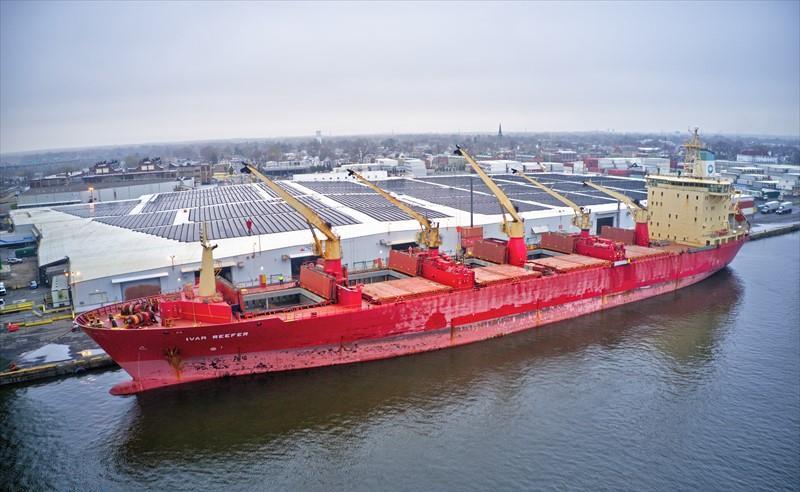 IVAR REEFER - Vesseljoin