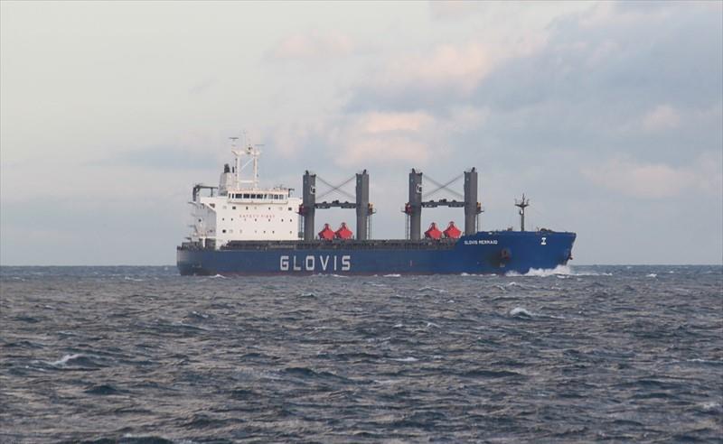 GLOVIS MERMAID - Vesseljoin