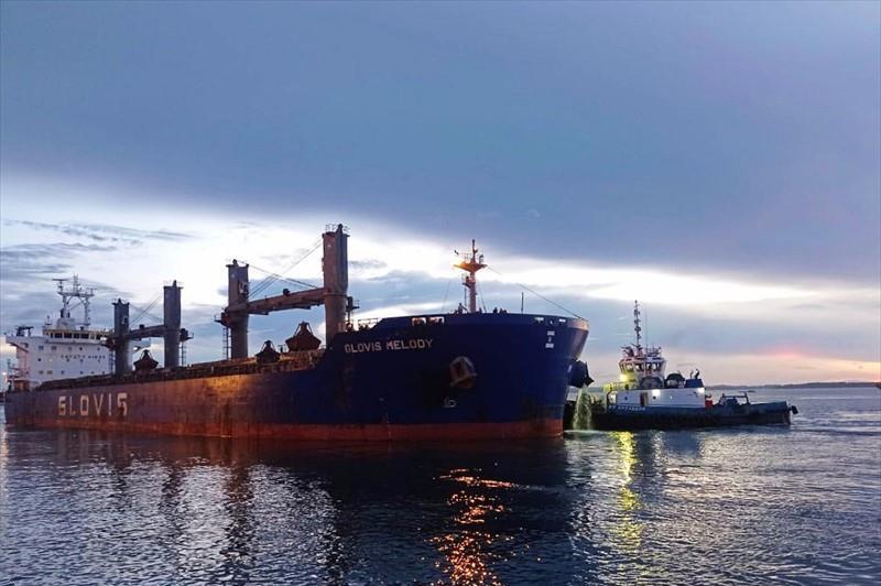 GLOVIS MELODY - Vesseljoin