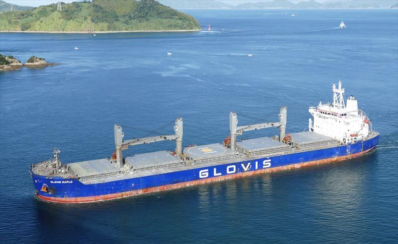 GLOVIS MAPLE - Vesseljoin